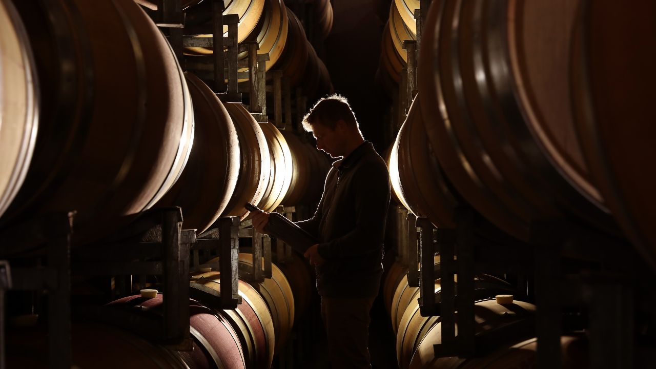 Cellaring Wine Guide - Saddler's Creek